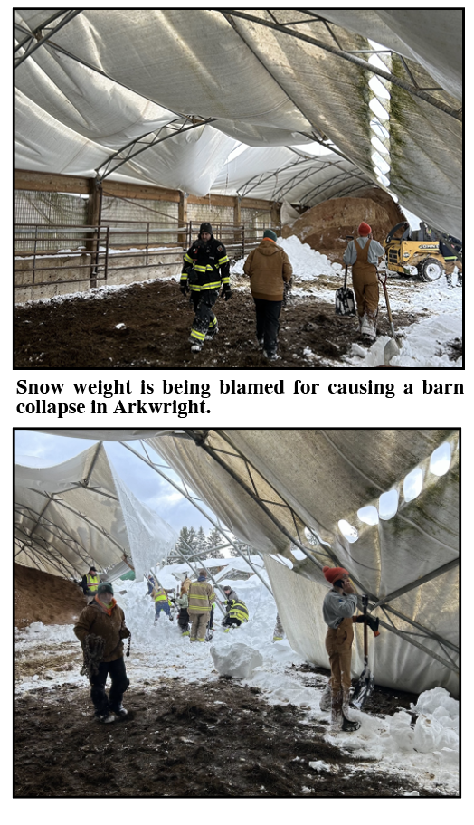 Barn collapse results in livestock losses, firefighter injury | News ...